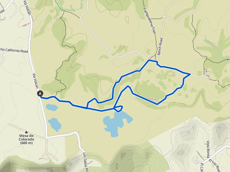 Pętla ścieżki Vernal Pool Trail — Rezerwat Ekologiczny Plateau Santa ...